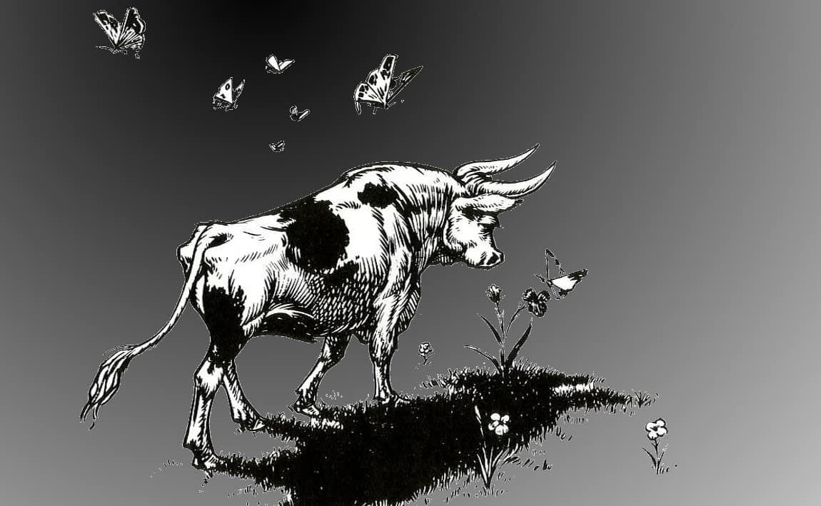 The Story of the Bull - The Only Way of Life